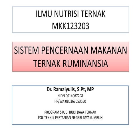 Sistem pencernaan ruminansia | PPSX