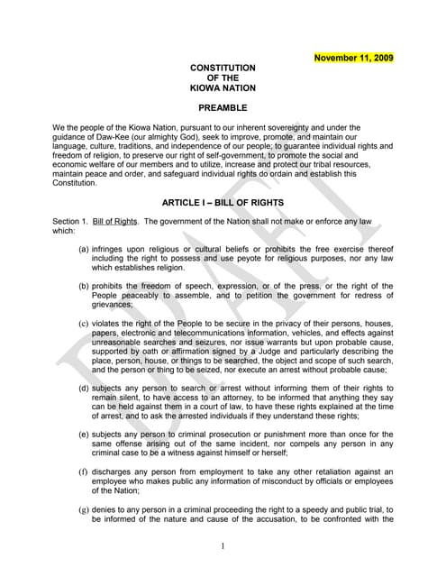 Revised Constitution Flowchart | PPT