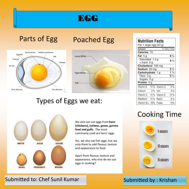 Egg and its part | PDF