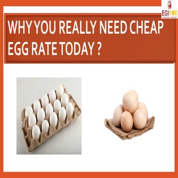 WHY YOU REALLY NEED CHEAP EGG RATE TODAY ? | PPT