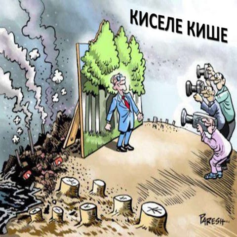 Gradja biljaka | PPTX