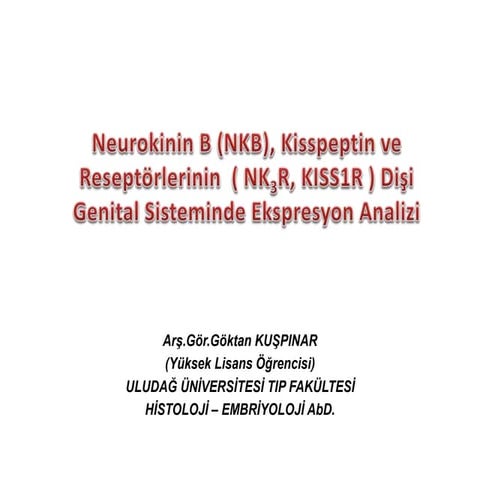 GK-Kiss nkb | PPT