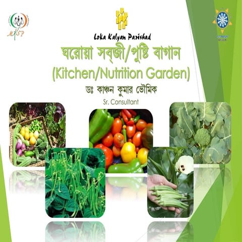 Kitchen garden / NUTRITIONAL GARDEN | PPT