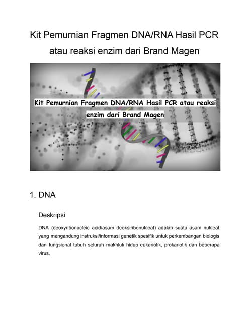 Polymerase chain reaction (pcr) | PPT