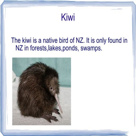 Kiwi, By Faadhil | PPT