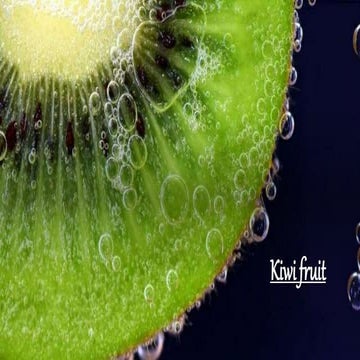 kiwi fruit introduction.pptx
