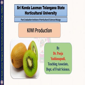Kiwi production technology.pptx