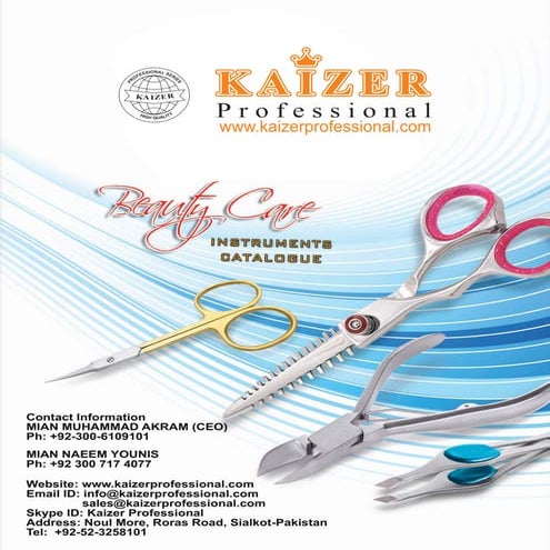 Kaizer Professional | PDF
