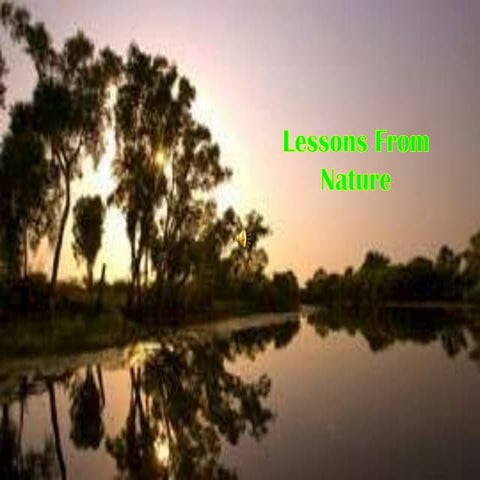 Lessons from Nature | PPSX