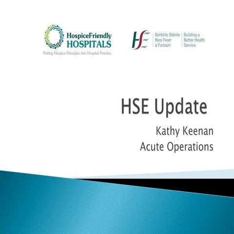 Sample Text in Response to Letter from HSE Director General (From Acute ...