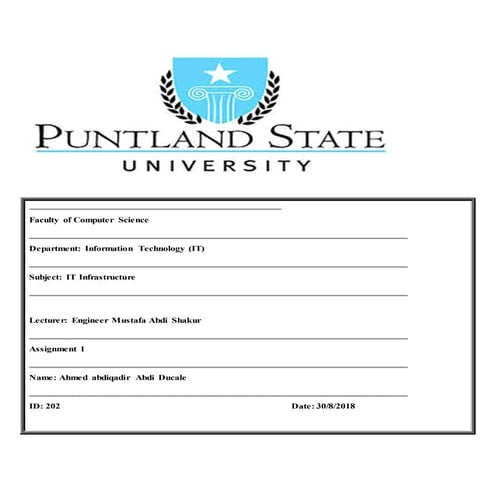 UPS case study analysis | PPTX