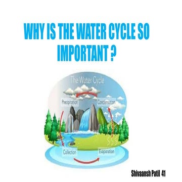 WHY_IS_THE_WATER_CYCLE_SO_IMPORTANT.pptx