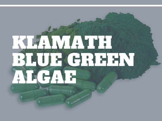 Super blue green algae | PPT