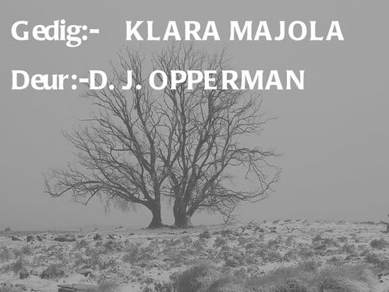 Halala Afrika - Johannes Kerkorrel Presentation | PPTX