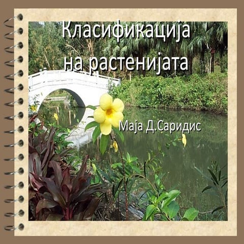 Klasifikacija na rastenija | PPT