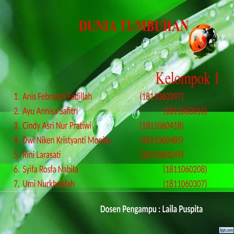 Comprehensive Overview of Plant Kingdom: Classification, Structure, and ...