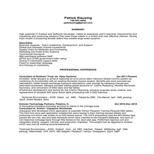 Klausing, Patrick Resume Consultant2 | DOC