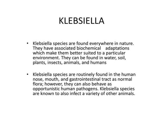 Klebsiella Pneumoniae CH.U | PPTX