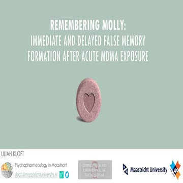 Remembering Molly: immediate and delayed false memory formation after ...