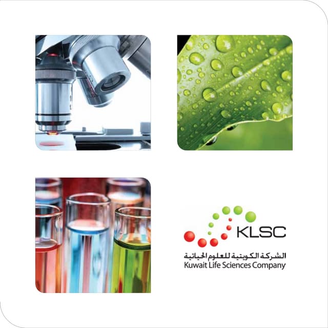 Klsc company profile | PDF