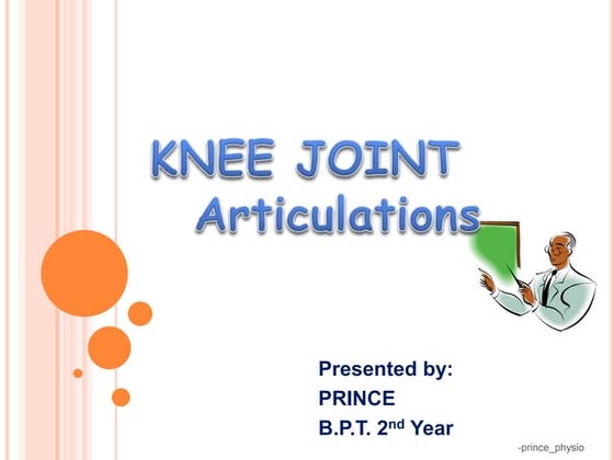 The lower extremity1 | PPT