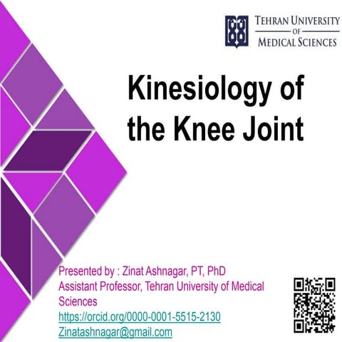 Extensor mechanism of knee