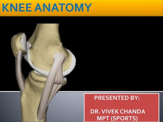 Kinetics of knee joint | PPTX
