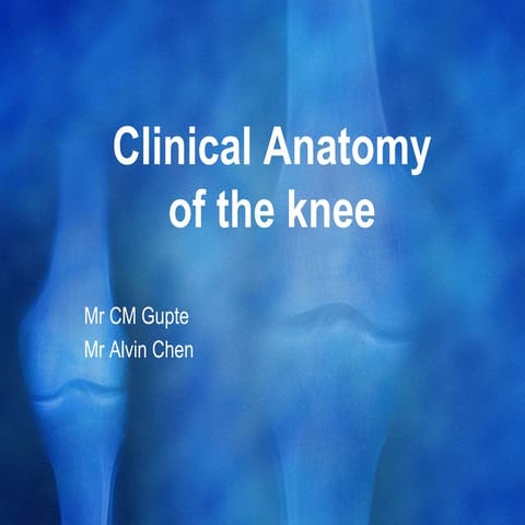 knee-anatomy.ppt