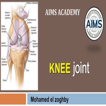 Simplified Mechanics of the knee joint and it’s stabilizing system | PPT