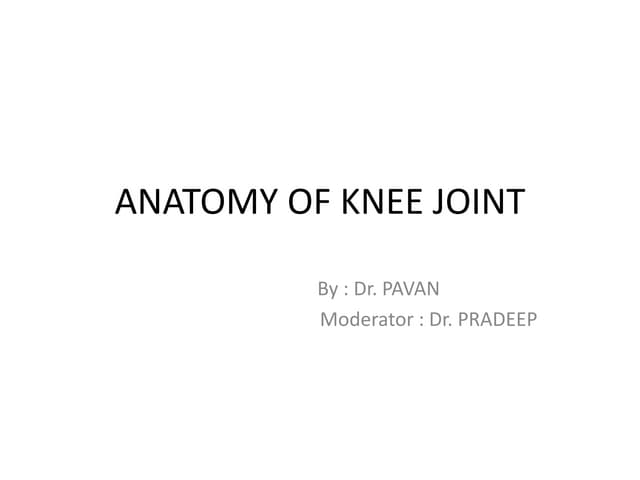 ligaments of the knee joint | PDF
