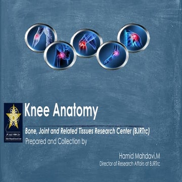 Knee anatomy | PDF