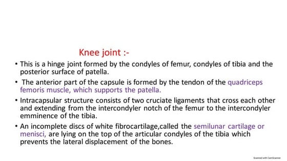 Ankle joint | PDF | Foot Health | Diseases and Conditions