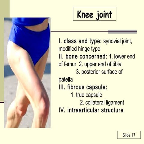 Kneejoint2 | PPT