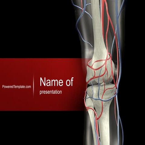 Knee PowerPoint Template | PPT