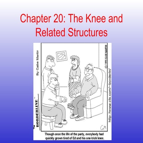 Knee | PPT
