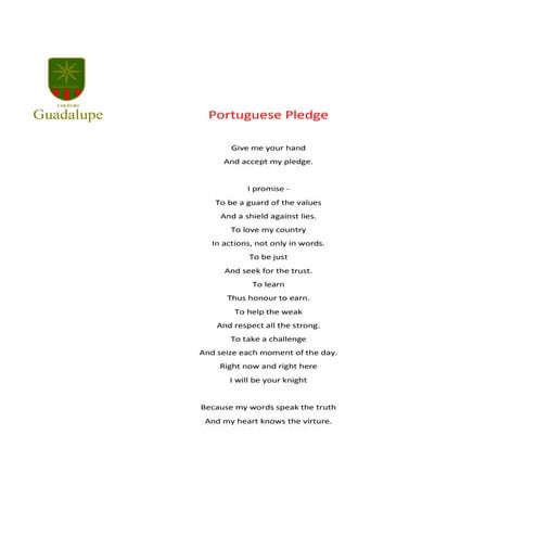 Knight PT pledge | DOCX