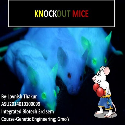 Knockout mice | PPTX