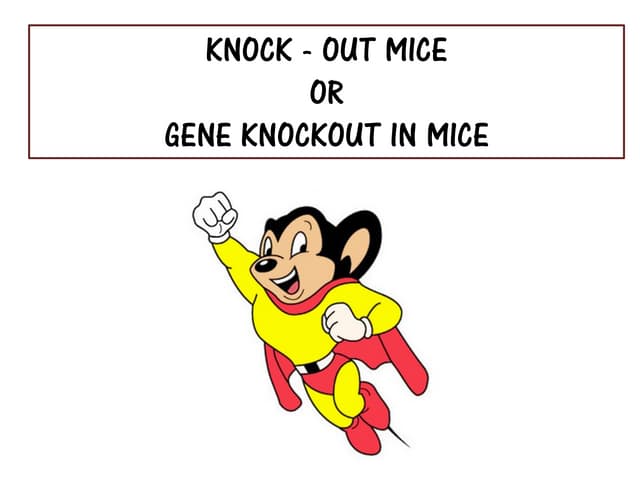 Knockout mice | PPTX