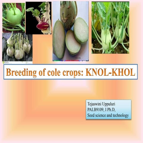 Presentation on Cultivation of ker | PPTX