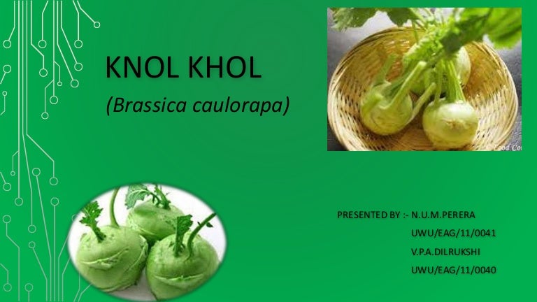 Knol khol
