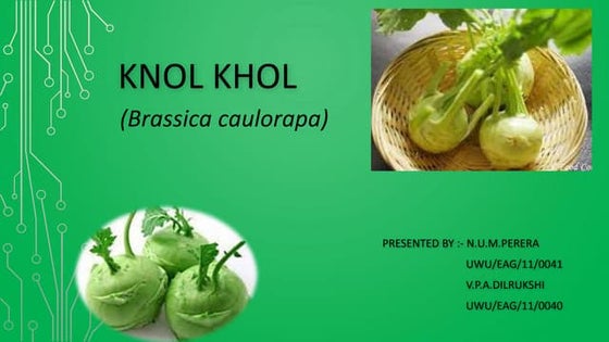 Knol khol | PDF
