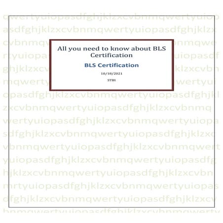 BLS Sales Flyer (Personalized) | PDF