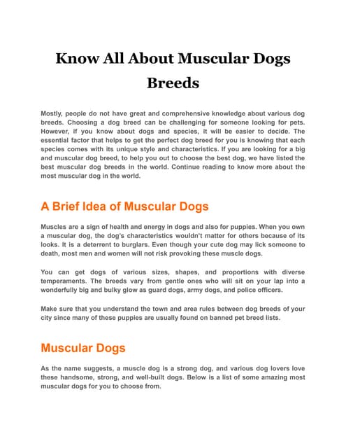 Morkie: The Adorable and Lovable Mixed Breed Dog | PDF | Dogs | Pets