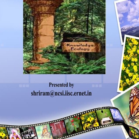 Knowledge Ecology | PPT