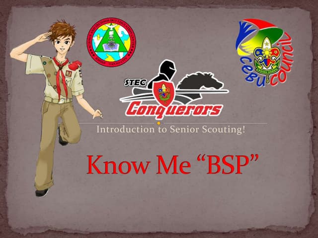 BSP-REVIEWER-202000000000000000000000000 | PDF