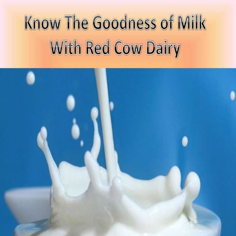 Know the goodness of quality milk with Red Cow Dairy | PPTX