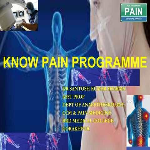 KNOW YOUR PAIN 2015 CHRONIC PAINfinal2.pptx