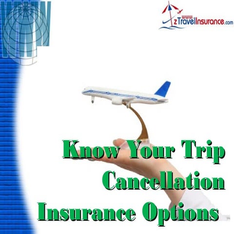 Dont Let A Trip Turn Into A Nightmare Why Travel Accident Insurance Is Your Safety Net