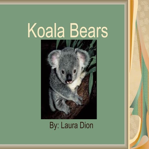 Koala bear power point 01 | PPT