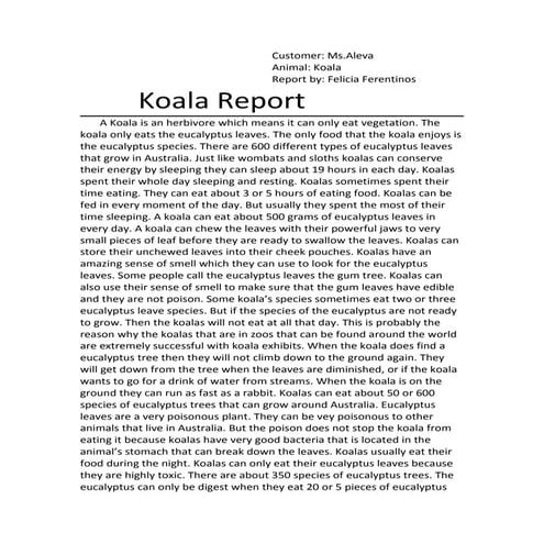 Koala report for micheal boglino | DOC